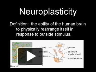 Neuroplasticity presentation | free to view