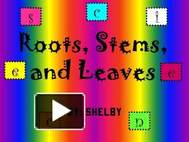 Roots, Stems, and Leaves presentation | free to view