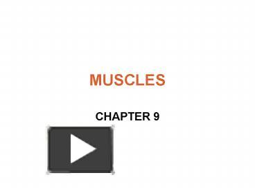 MUSCLES presentation | free to view
