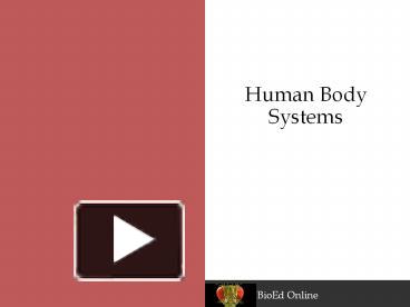 Human Body Systems presentation | free to download