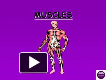 MUSCLES presentation | free to view