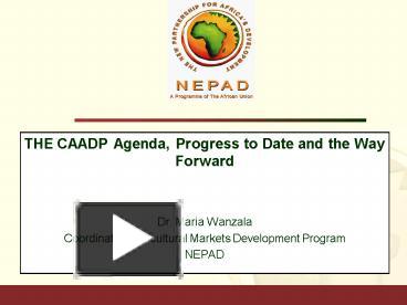 THE CAADP Agenda, Progress to Date and the Way Forward presentation | free to view