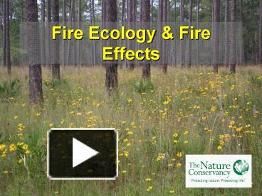 Fire Ecology presentation | free to view