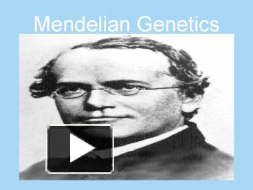 PPT – Mendelian Genetics PowerPoint presentation | free to view - id ...