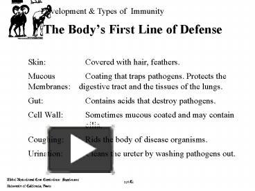 PPT – The Bodys First Line of Defense PowerPoint presentation | free to ...