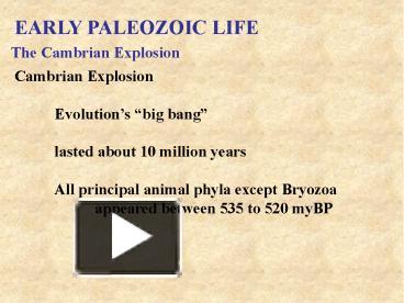 EARLY PALEOZOIC LIFE presentation | free to download
