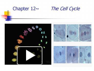 Chapter 12 The Cell Cycle presentation | free to view