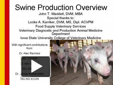 Swine Production Overview presentation | free to view