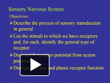 PPT – Sensory Nervous System PowerPoint presentation | free to download ...