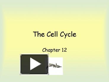 The Cell Cycle presentation | free to download