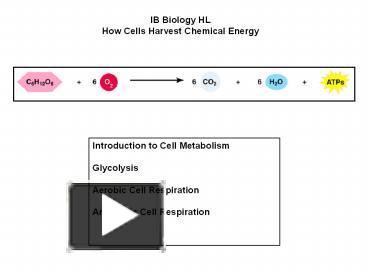 IB Biology HL presentation | free to view
