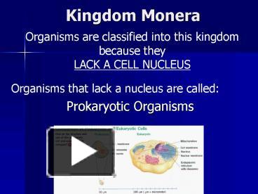 PPT – Kingdom Monera PowerPoint presentation | free to view - id: d475d-ZDc1Z