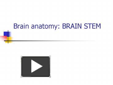 Brain anatomy: BRAIN STEM presentation | free to view