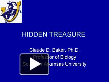 HIDDEN TREASURE presentation | free to view