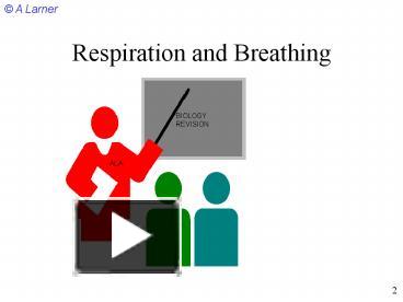 Respiration and Breathing presentation | free to view