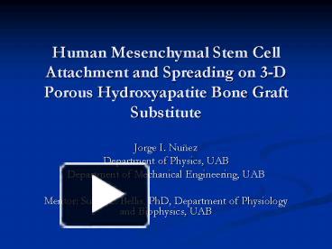 PPT – Human Mesenchymal Stem Cell Attachment and Spreading on 3D Porous Hydroxyapatite Bone ...