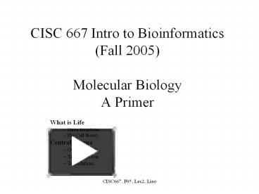 CISC 667 Intro to Bioinformatics (Fall 2005) Molecular Biology A Primer presentation | free to ...