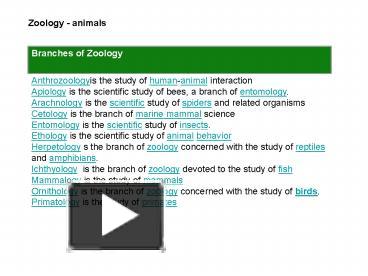 Zoology animals presentation | free to view
