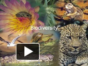 Biodiversity presentation | free to view