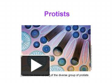Protists presentation | free to view
