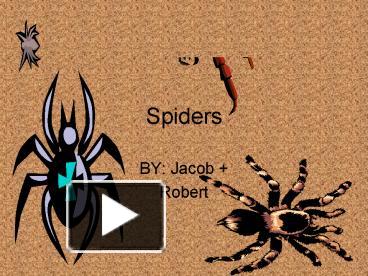 PPT – Spiders PowerPoint presentation | free to view - id: e5e6b-ZDc1Z
