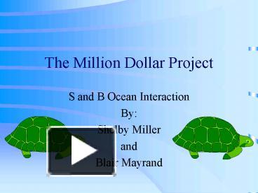 The Million Dollar Project presentation | free to view