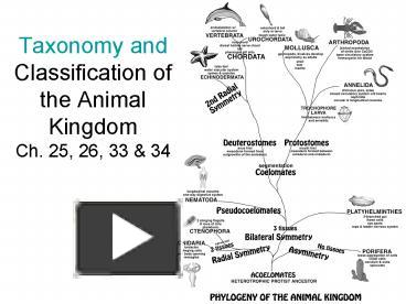 Taxonomy and Classification of the Animal Kingdom Ch' 25, 26, 33 ...
