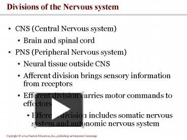 PPT – Divisions of the Nervous system PowerPoint presentation | free to ...