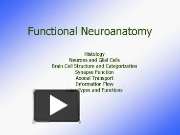 Functional Neuroanatomy presentation | free to view
