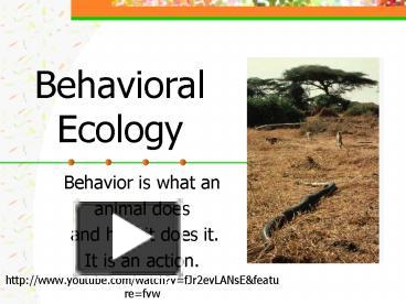 Behavioral Ecology presentation | free to view