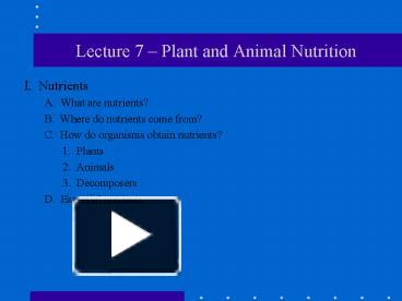 PPT – Lecture 7 Plant and Animal Nutrition PowerPoint presentation ...
