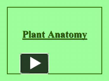 Plant Anatomy presentation | free to view