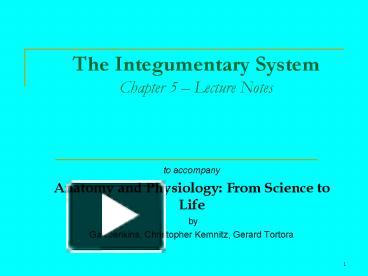 The Integumentary System Chapter 5 Lecture Notes presentation | free to ...