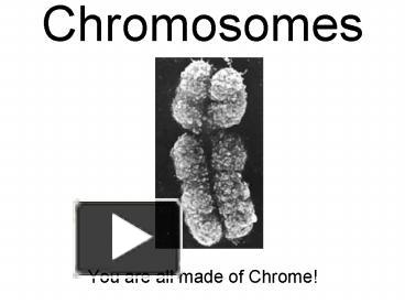 PPT – Chromosomes PowerPoint presentation | free to view - id: f37f1-NGUzM