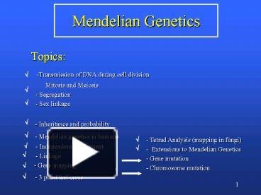 Mendelian Genetics presentation | free to view