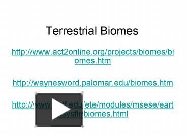 PPT – Terrestrial Biomes PowerPoint presentation | free to view - id ...