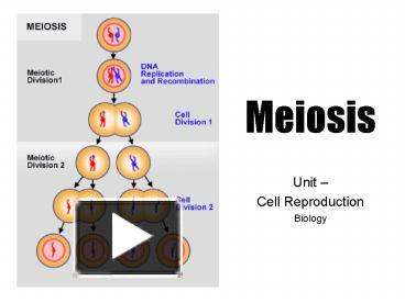 PPT – Meiosis PowerPoint presentation | free to view - id: f3e51-ZDc1Z