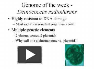 PPT – Genome of the week - Deinococcus radiodurans PowerPoint presentation | free to download ...