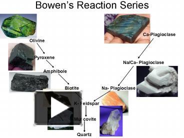 Bowens Reaction Series presentation | free to view