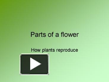 Parts of a flower presentation | free to view