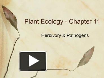 PPT – Plant Ecology - Chapter 11 PowerPoint presentation | free to ...