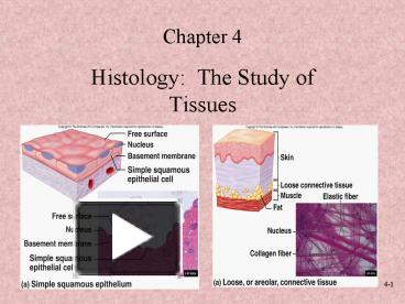 PPT – Histology: The Study of Tissues PowerPoint presentation | free to view - id: f8feb-ZDc1Z