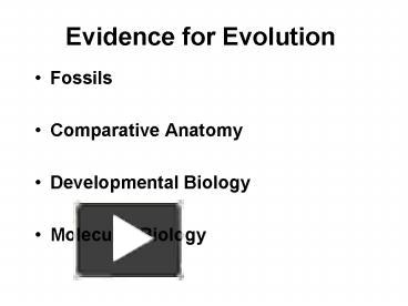 PPT – Evidence for Evolution PowerPoint presentation | free to view ...
