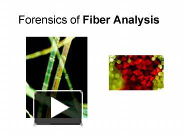 PPT – Forensics of Fiber Analysis PowerPoint presentation | free to ...