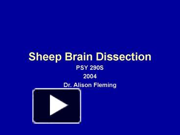 PPT – Sheep Brain Dissection PowerPoint presentation | free to view ...