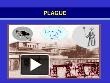 PLAGUE presentation | free to view