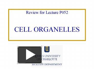 PPT – CELL ORGANELLES PowerPoint presentation | free to view - id ...