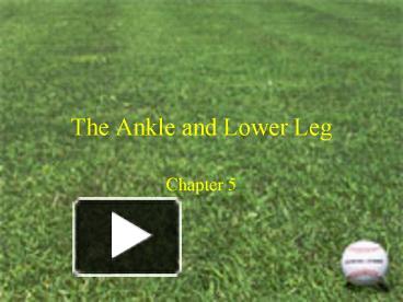 PPT – The Ankle and Lower Leg PowerPoint presentation | free to view ...