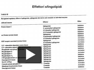 PPT – Effettori sfingolipidi PowerPoint presentation | free to view ...