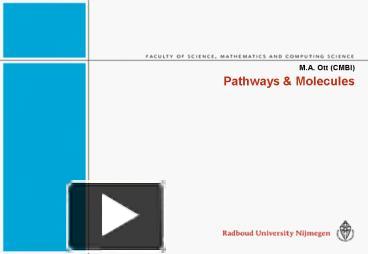 PPT – Pathways PowerPoint presentation | free to view - id: 100baa-ZDc1Z